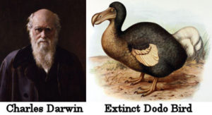 It Is Not the Strongest of the Species that Survives But the Most ...