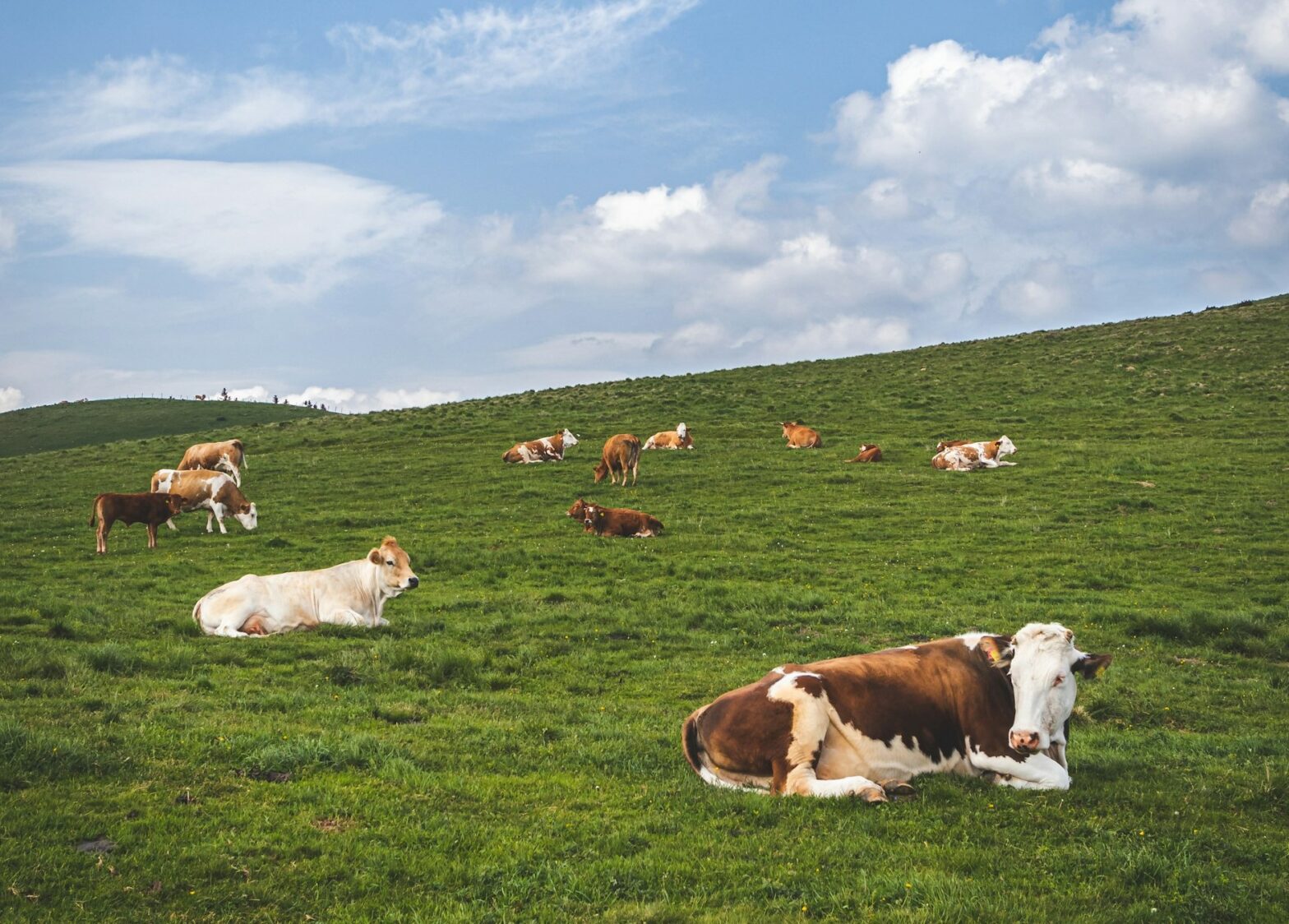 Quote Investigator® – Page 193 – Tracing Quotations