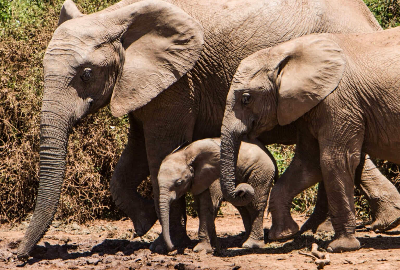 Quote Investigator® – Tracing Quotations