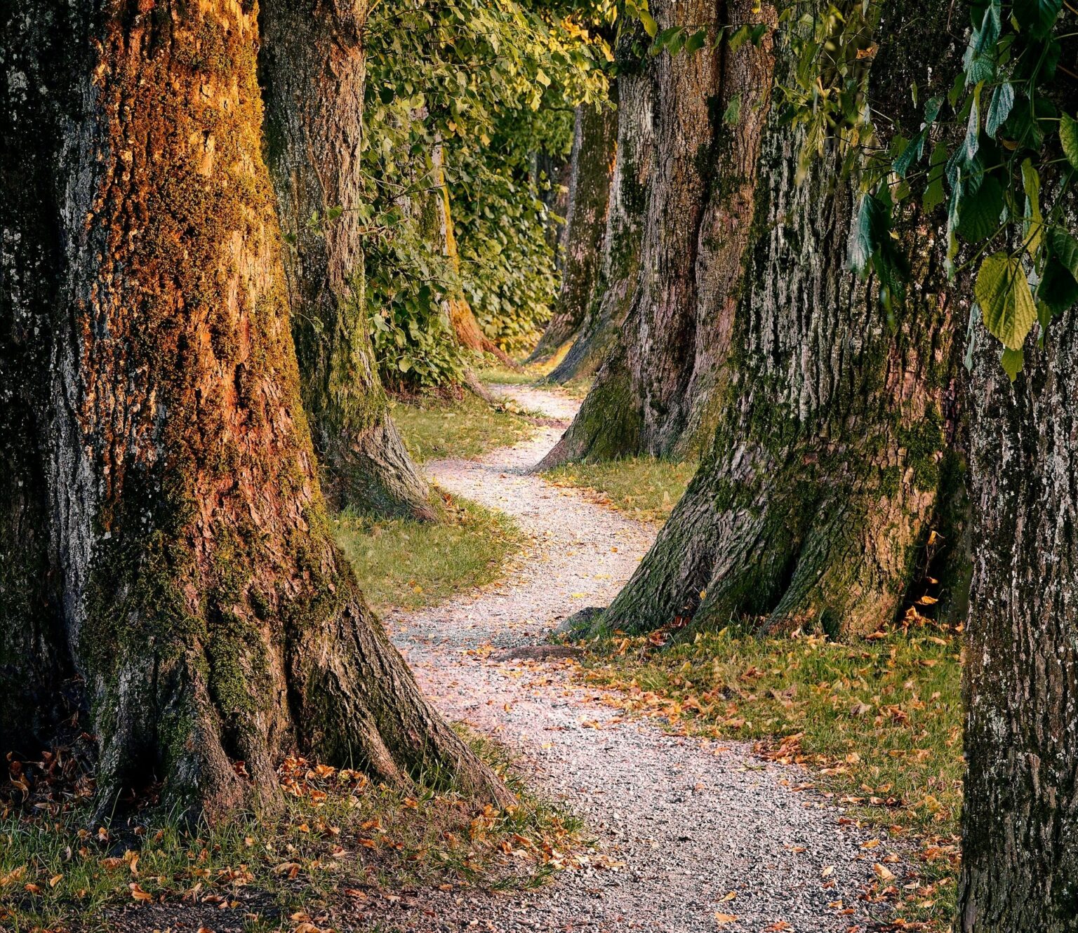 Quote Origin: Even If You Are On the Right Track You Will Get Run Over ...