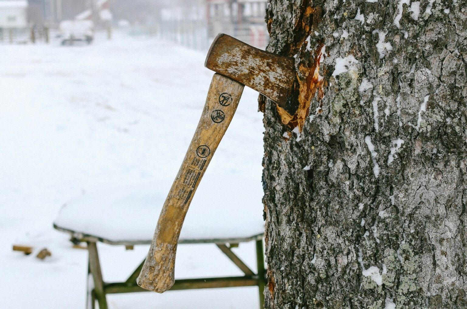 Quote Origin: The Trees Voted for the Axe Because the Axe Handle Was ...