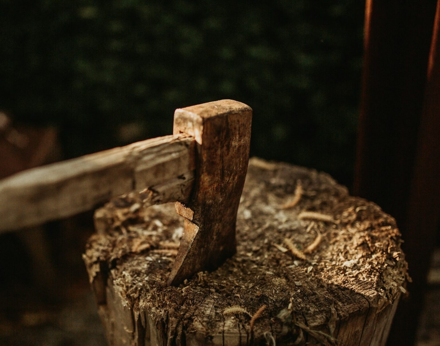 Quote Origin: The Tree Remembers What the Axe Forgets – Quote Investigator®