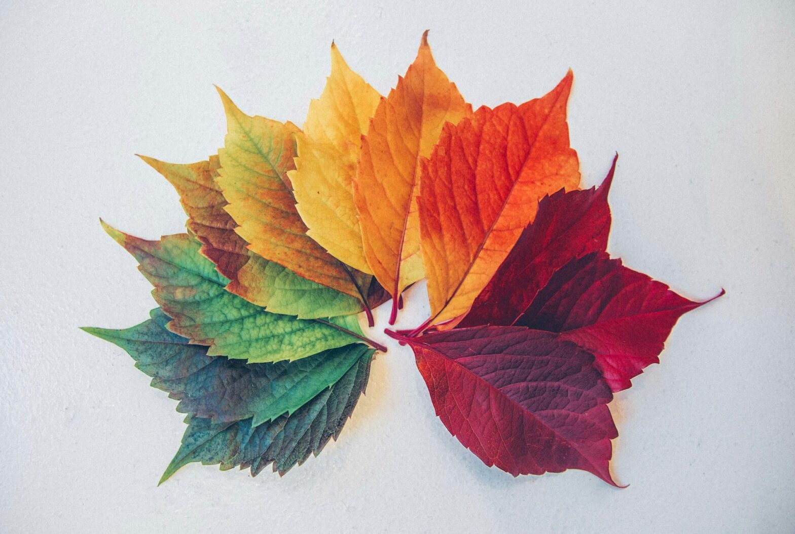 Quote Investigator® – Tracing Quotations